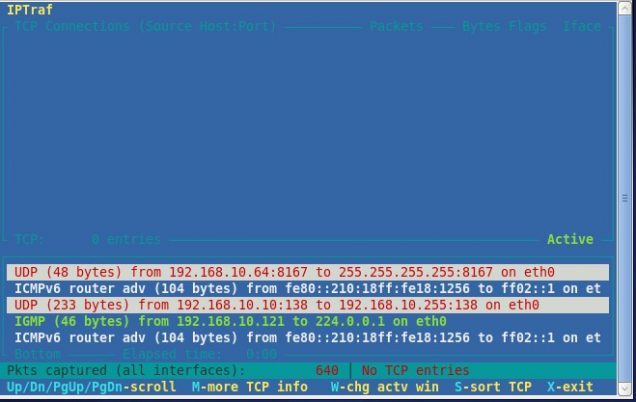 Install IPTraf on a Centos Linux To Get Network Statistics - cPanel Plesk