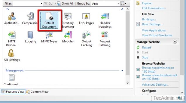 How to Set Default Document in IIS - cPanel Plesk